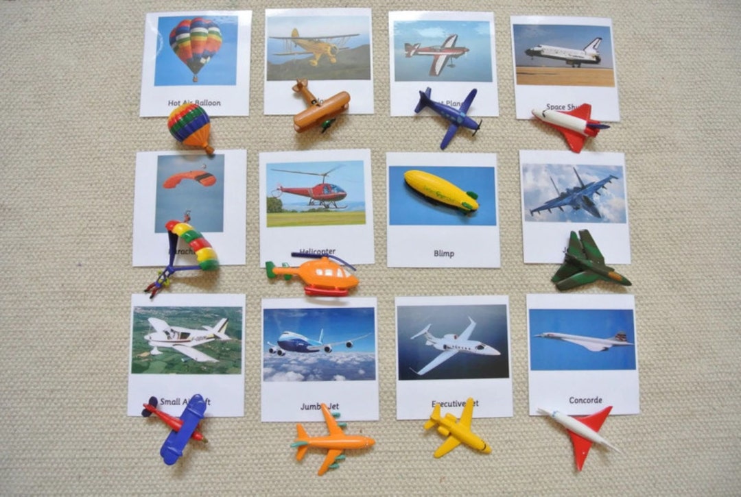 Montessori in the Sky 3-part Cards With Miniatures Home School ...