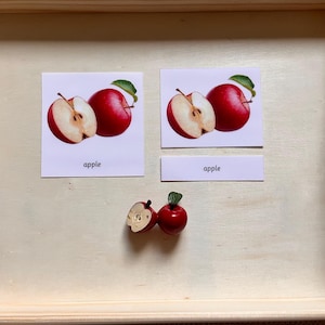 Montessori Common Fruits Vegetables 3 Parts Nomenclature Flash Cards ...