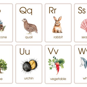 Nature Alphabet Flashcards A-Z Watercolor Pictures Digital PDF Download ...