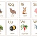 Nature Alphabet Flashcards A-Z Watercolor Pictures Digital PDF Download ...