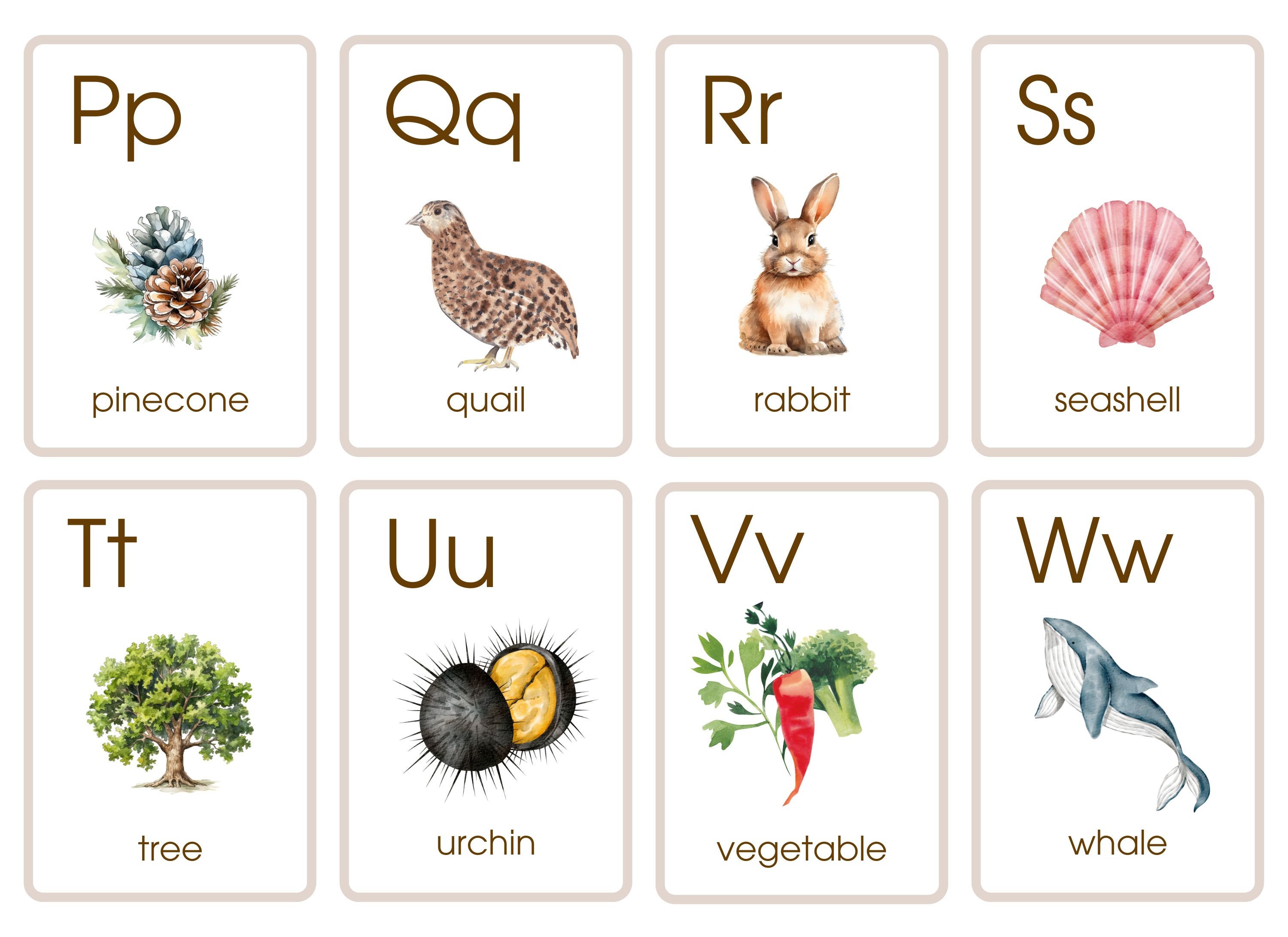 Nature Alphabet Flashcards A-Z Watercolor Pictures Digital PDF Download ...