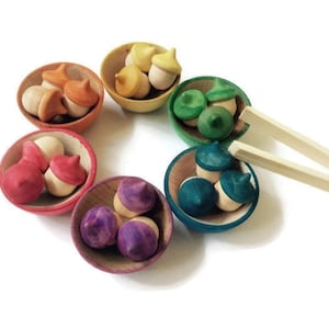 Montessori Waldorf Learning & Sorting Acorn Game Home School ...
