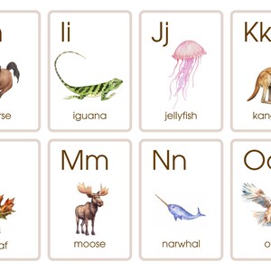 Nature Alphabet Flashcards A-Z Watercolor Pictures Digital PDF Download ...