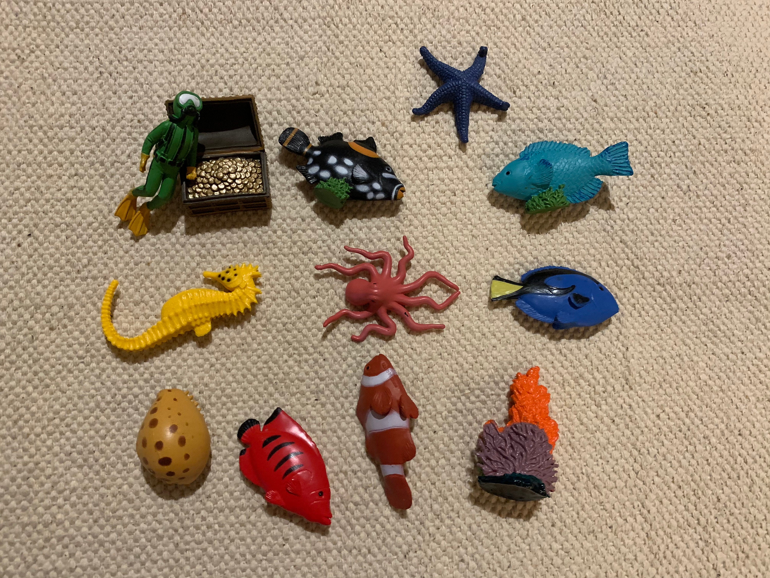 Montessori Coral Reef 3 Parts Cards With Miniatures Home School ...