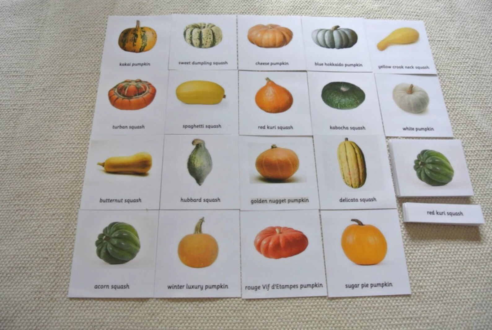 Montessori Common Pumpkins Gourds 3 Parts Nomenclature Flash Cards ...