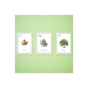Nature Alphabet Flashcards A-Z Watercolor Pictures Digital PDF Download ...