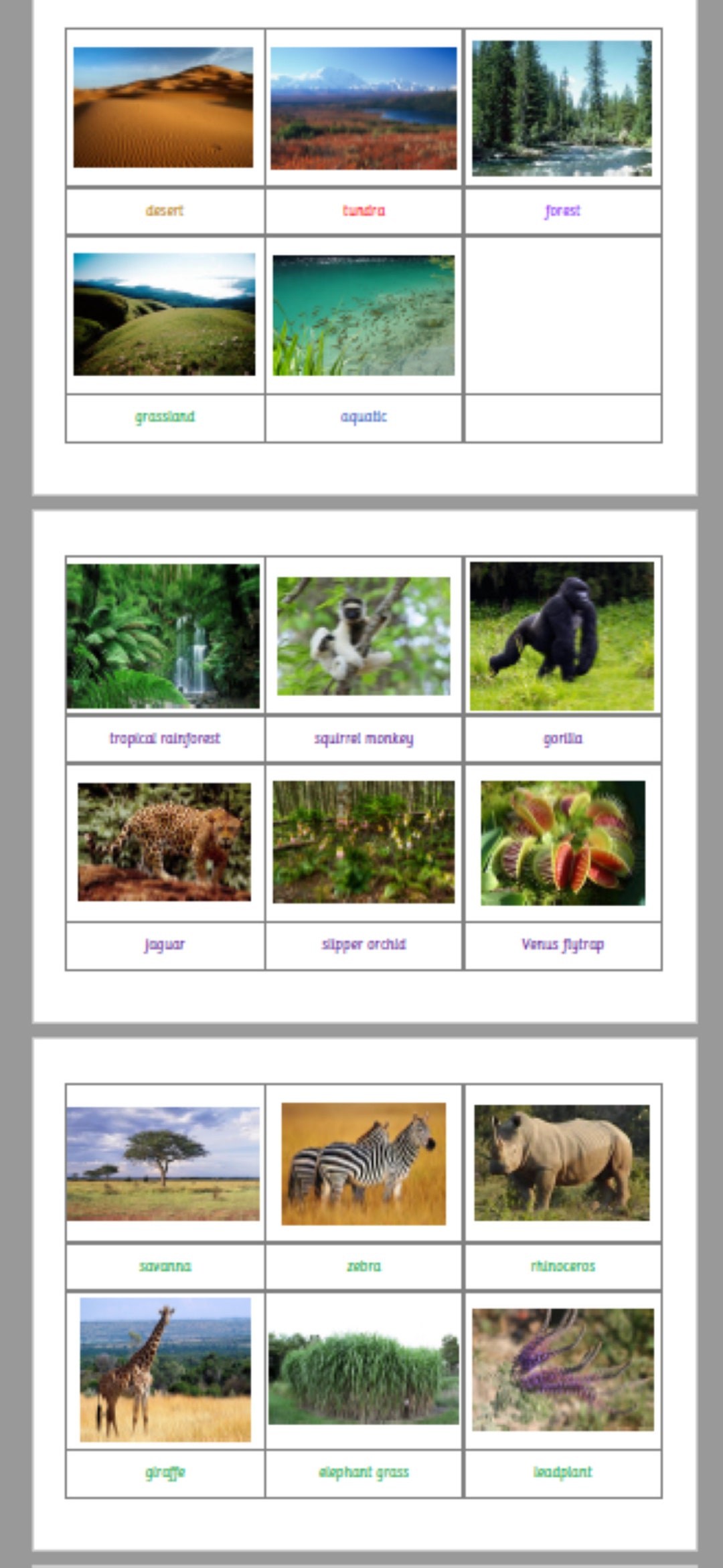 Montessori Biomes of the World 5 Part Cards Digital Download Printable ...