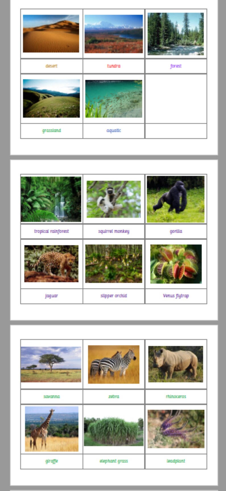 Montessori Biomes of the World 5 Part Cards Digital Download - Etsy