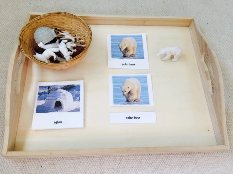 Montessori Arctic 3 Parts Cards With Miniatures - Etsy