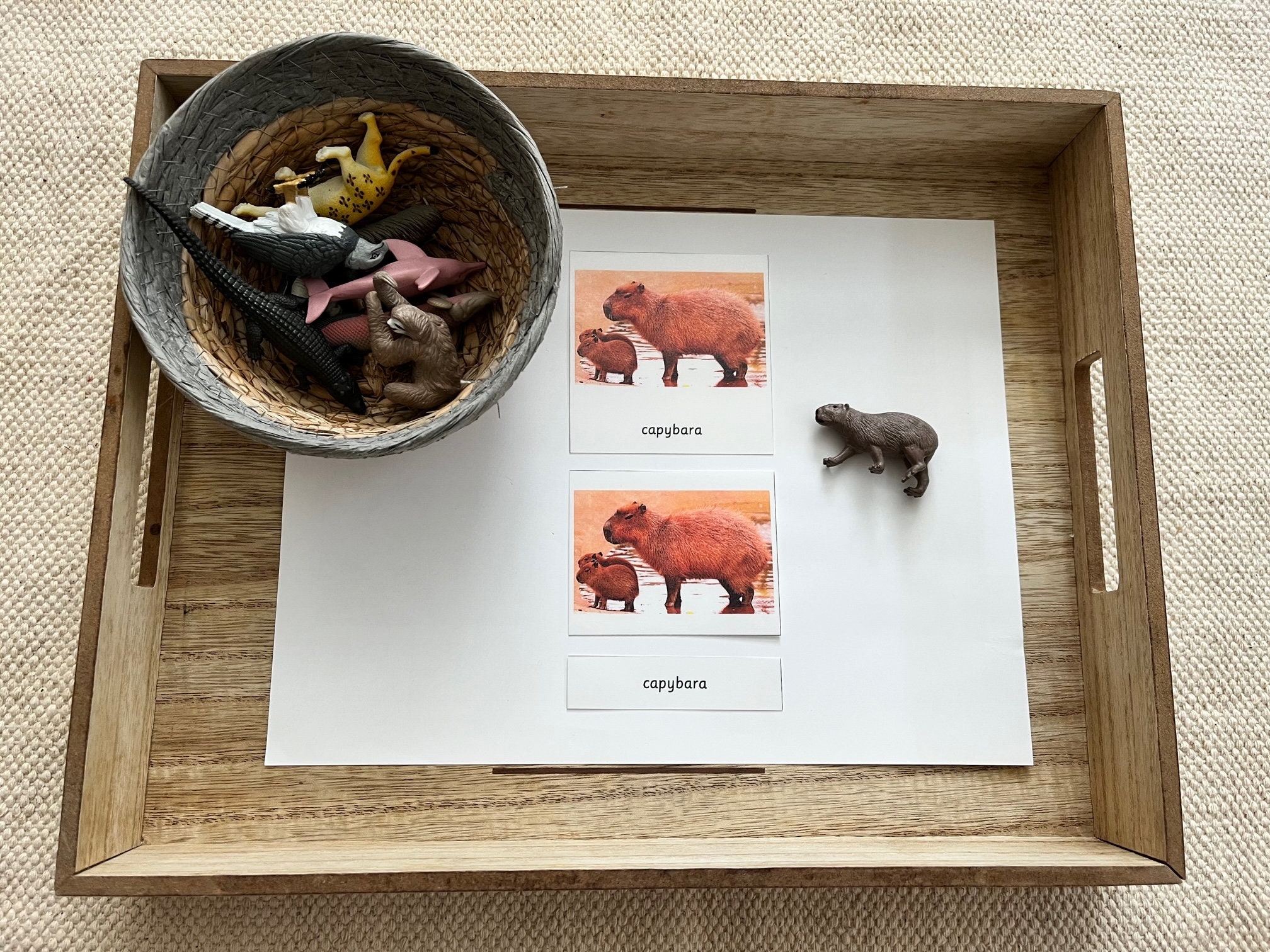 Montessori South American Animals 3 Parts Cards With Miniatures ...