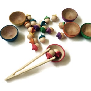 Montessori Waldorf Learning & Sorting Acorn Game Home School ...