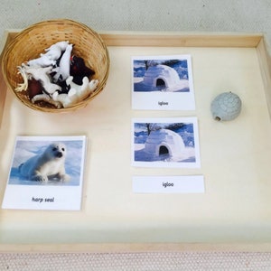 Montessori Arctic 3 Parts Cards With Miniatures Homeschool - Etsy
