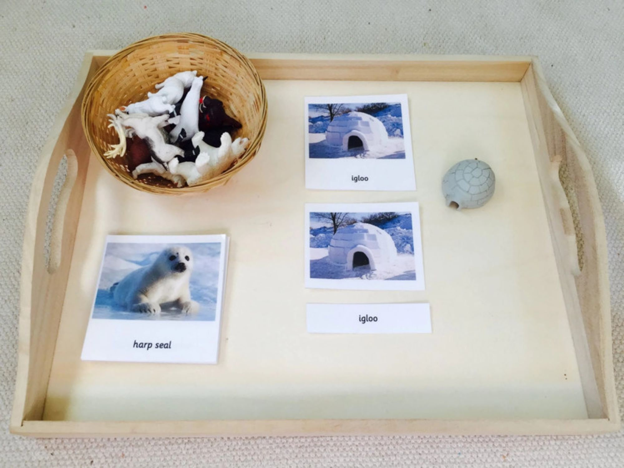 Montessori Arctic 3 Parts Cards With Miniatures - Etsy