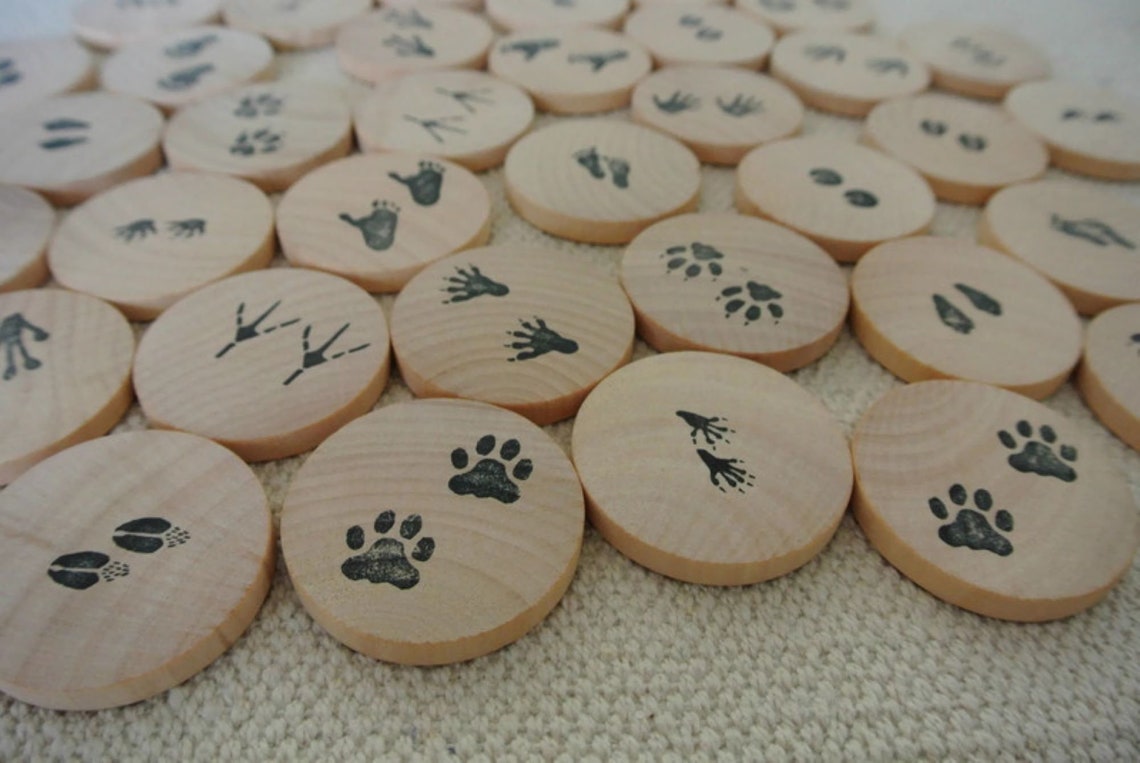 Montessori Inspired Animal Tracks Picture Cards and Memory - Etsy
