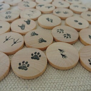 Montessori Inspired Animal Tracks Picture Cards and Memory Games Home ...