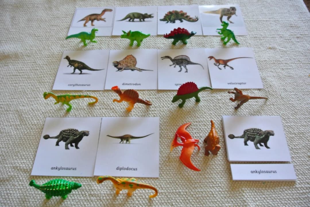 Montessori Dinosaurs 5 Parts Nomenclature Flash Cards Miniatures ...