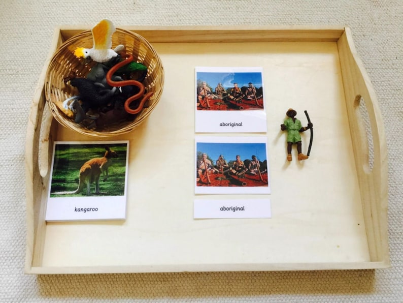 Montessori Knowing Australia 3 Parts Cards With Miniatures - Etsy