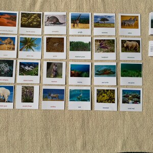 Montessori Biomes of the World 5 Part Cards Digital Download Printable ...