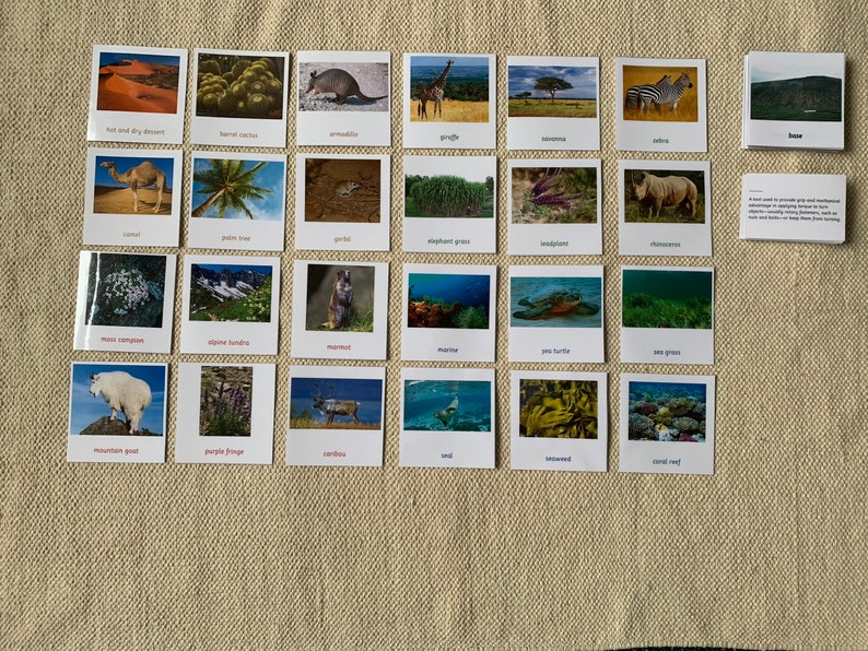 Montessori Biomes of the World 5 Part Cards Digital Download - Etsy