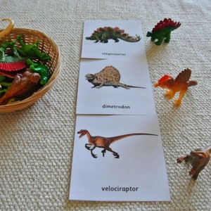 Montessori Dinosaurs 5 Parts Nomenclature Flash Cards Miniatures ...