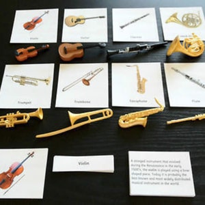 Montessori Musical Instrument Replica 5 Parts Nomenclature Flash Cards ...