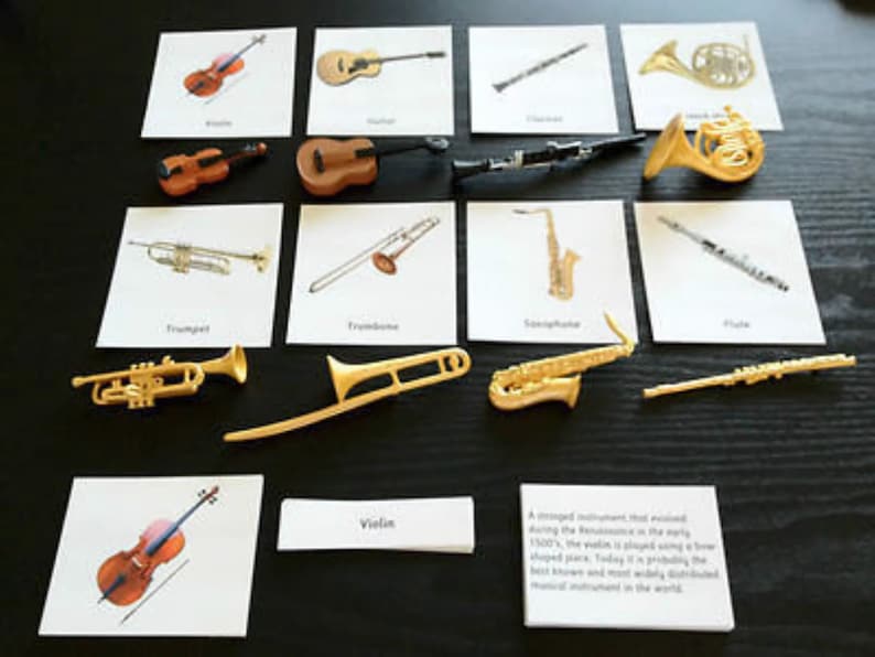 Montessori Musical Instrument Replica 5 Parts Cards Set With | Etsy