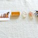 Montessori Honey Bee Life Cycle 5 Parts Nomenclature Flash Cards ...