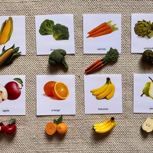 Montessori Common Fruits Vegetables 3 Parts Nomenclature Flash Cards ...