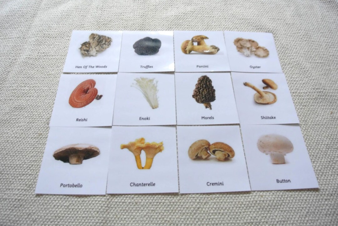 Montessori Common Mushrooms 3 Parts Cards Homeschool Classroom ...