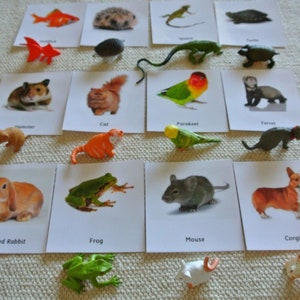 Montessori Common Pets 3 Part Cards With Miniatures Homeschool ...