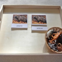 Parts of a Polar Bear Nomenclature Book - Montessori Zoology (digital ...