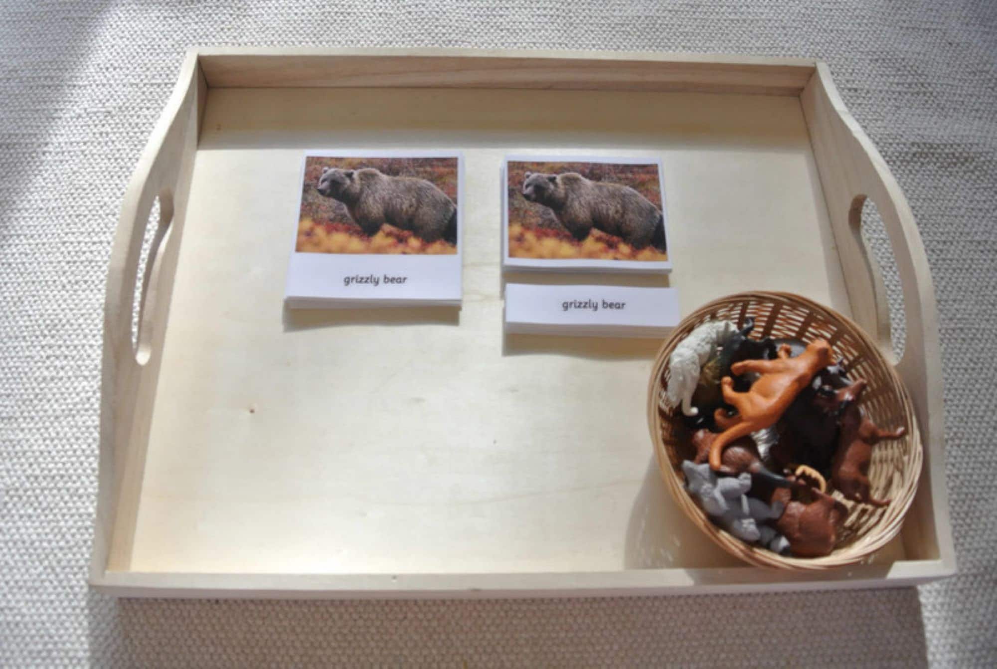 Montessori North America Wildlife 3 Parts Cards - Etsy