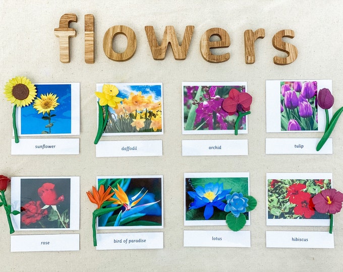 Montessori Common Flowers 3 Part Cards Miniatures Home School Classroom ...