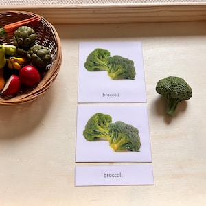 Montessori Common Fruits Vegetables 3 Parts Nomenclature Flash Cards ...