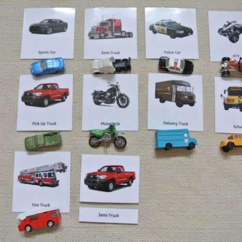 Montessori in the Sky 3-part Cards With Miniatures - Etsy