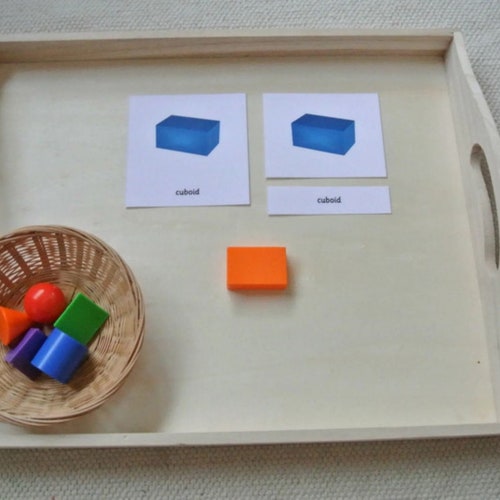 Montessori Arctic 3 Parts Cards With Miniatures - Etsy