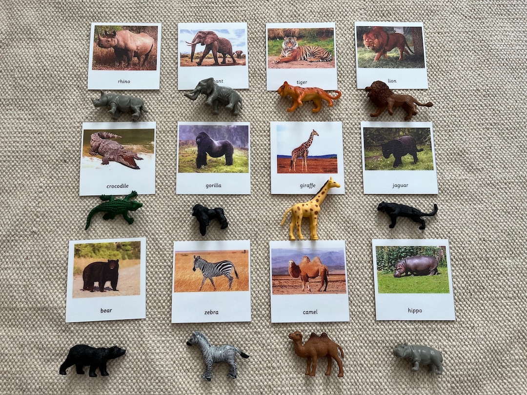 Montessori Wild Animals 3 Parts Nomenclature Flash Cards Miniatures ...
