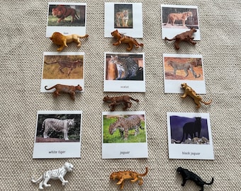 Celebrating Autumn Printable and Digital Workbook Homeschool - Etsy