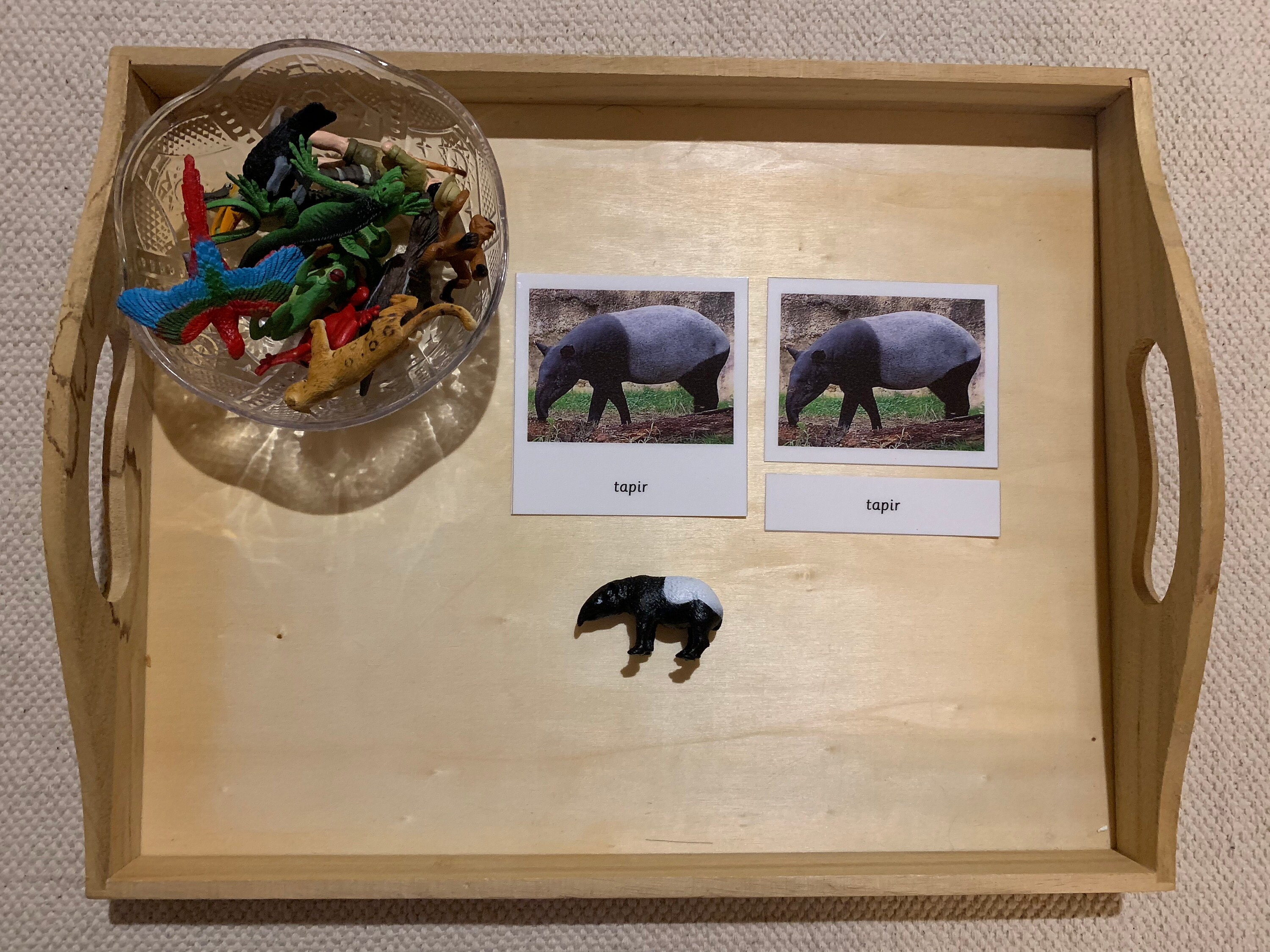 Montessori Rainforest Animals 3 Parts Cards with Miniatures | Etsy