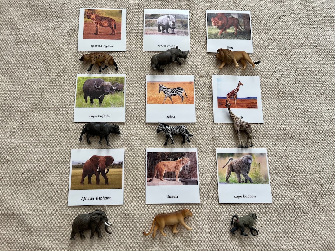 Montessori South African Animals 3 Parts Cards With Miniatures ...
