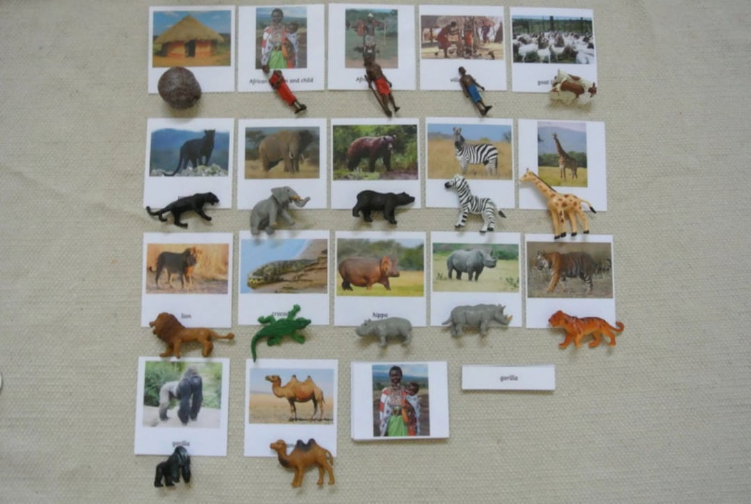 Montessori Africa Continent Village Life and Animals 3 Parts Cards ...