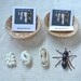 Montessori Life Cycle of an Ant 5 Parts Cards With Miniatures ...