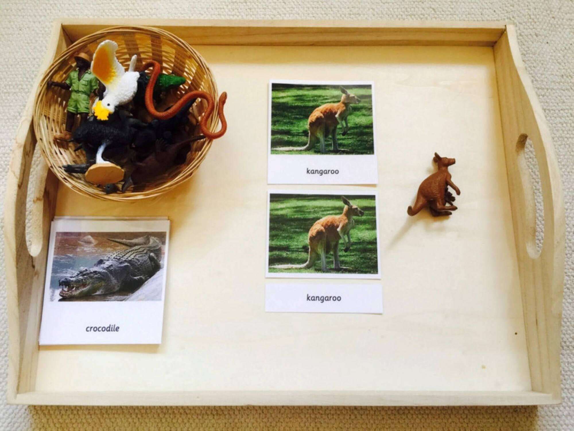 Montessori Knowing Australia 3 Parts Cards With Miniatures - Etsy