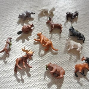 Montessori North America Wildlife 3 Parts Cards Homeschool Classroom ...