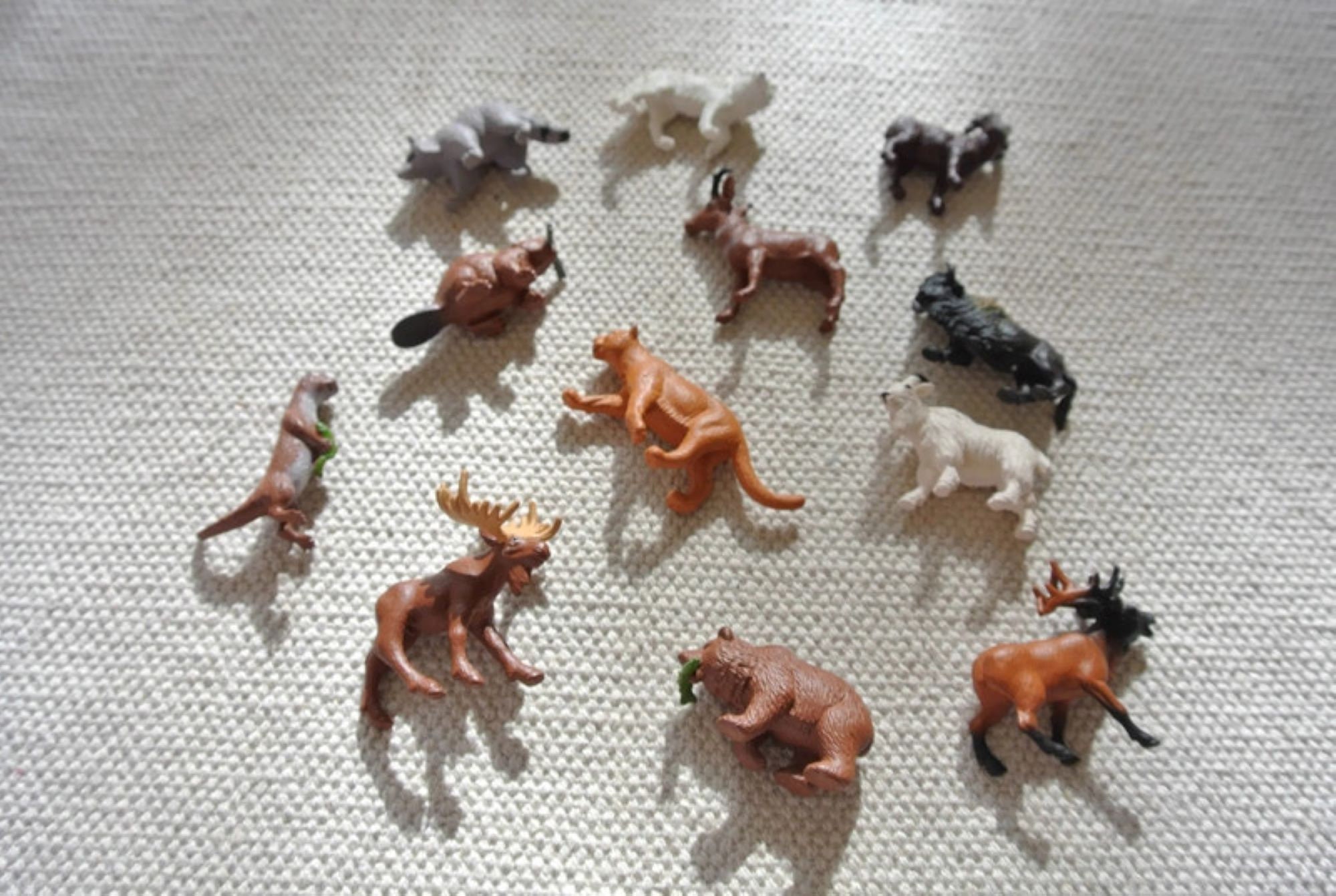 Montessori North America Wildlife 3 Parts Cards Homeschool Classroom ...