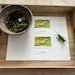 Montessori Common Insects Bugs 3 Parts Nomenclature Flash Cards With ...