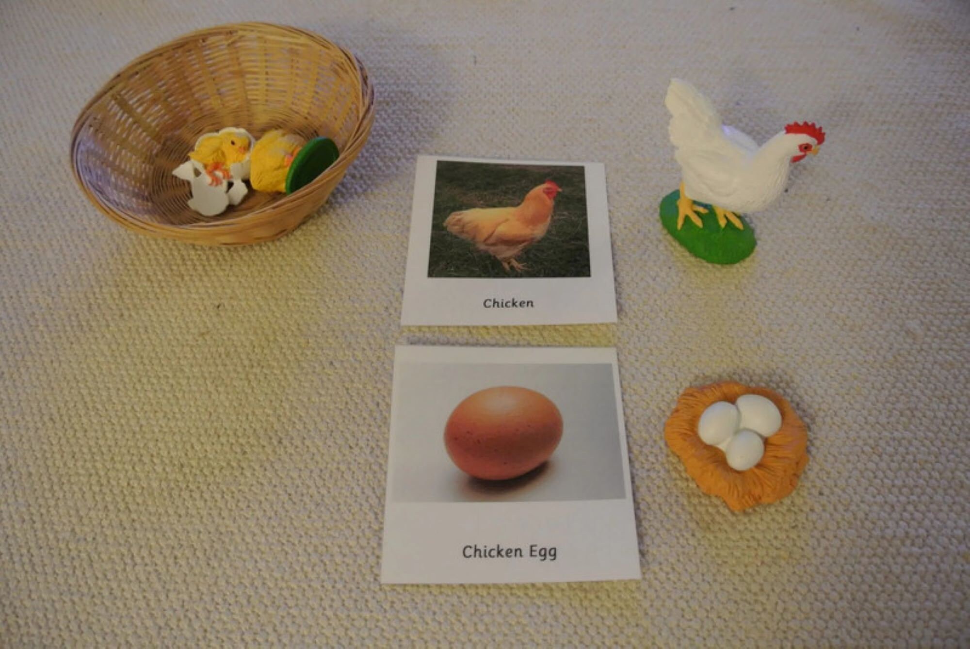 Montessori Life Cycle of A Chicken 5 Parts Cards Miniatures Home School ...