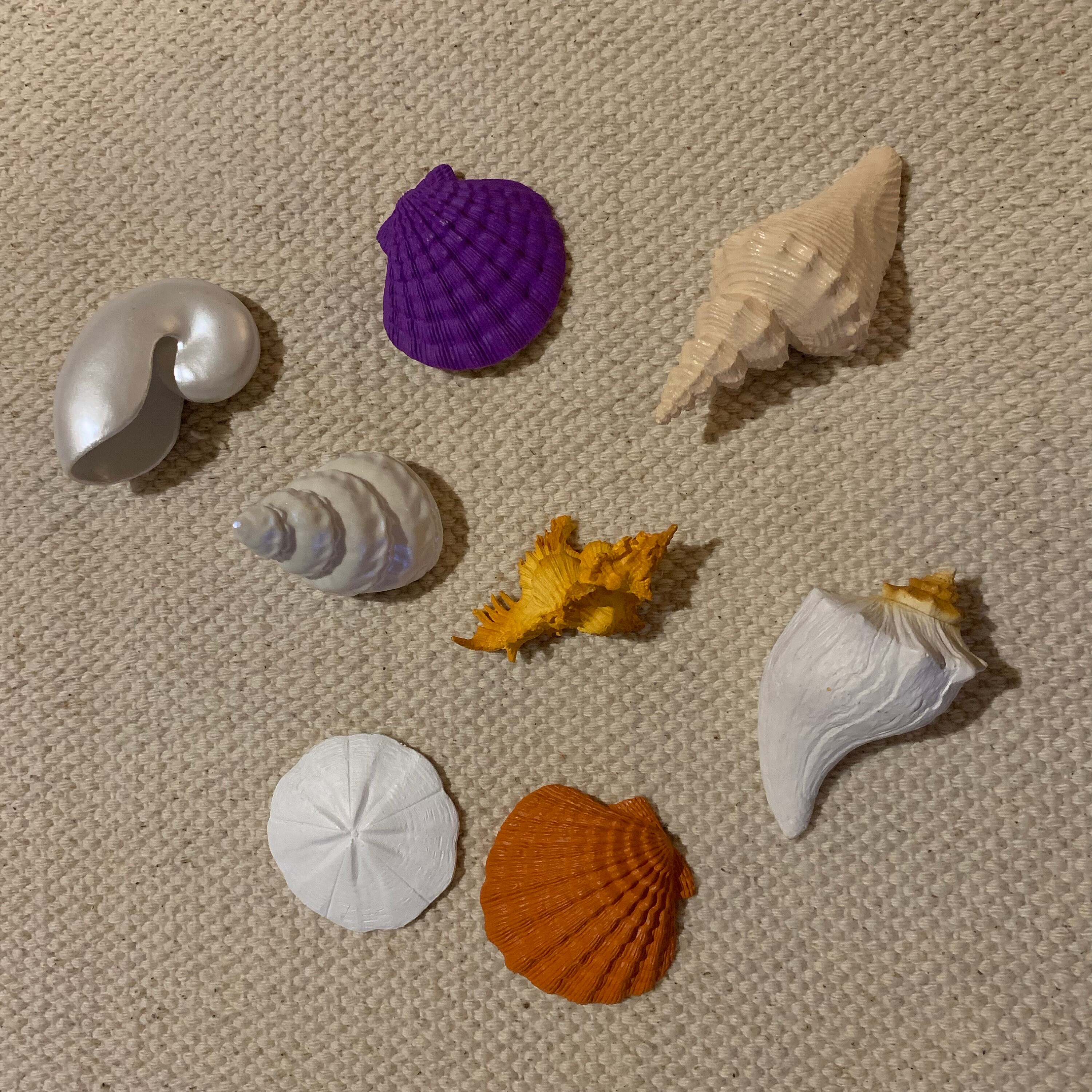 Montessori Seashells 3 Parts Cards With Miniatures | Etsy