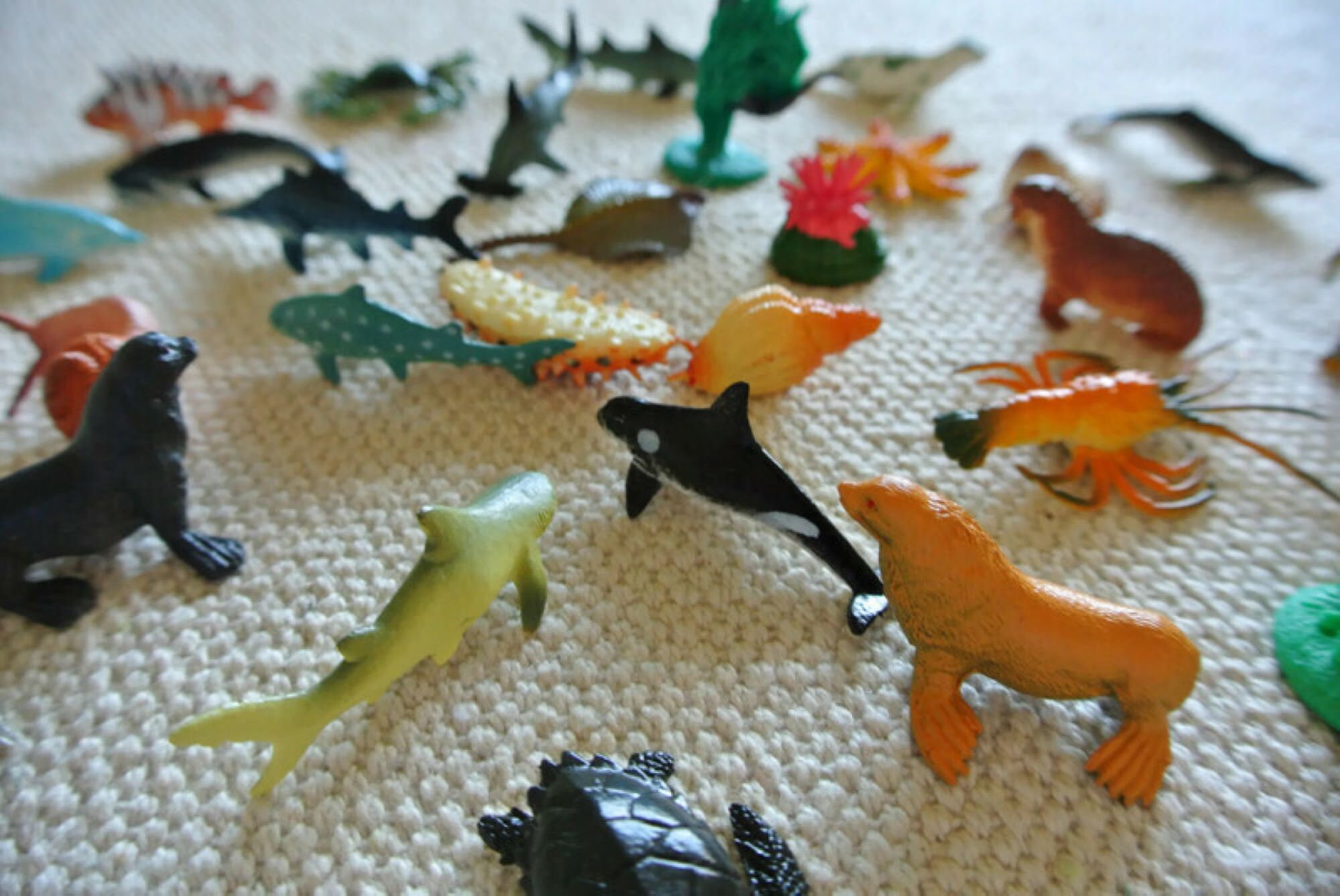 Montessori Sea Life Creatures and Matching 3 Part Cards Set | Etsy