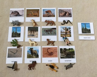 Montessori Common Fruits and Vegetables 3 Parts Cards With | Etsy